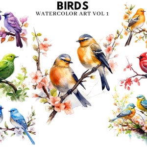 Set of 20, Watercolor Birds Clipart Bundle, Spring Birds Clipart, Birds ...