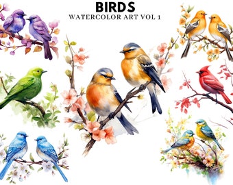 Set of 56, Watercolor Birds Clipart Bundle, Spring Birds Clipart, Birds ...