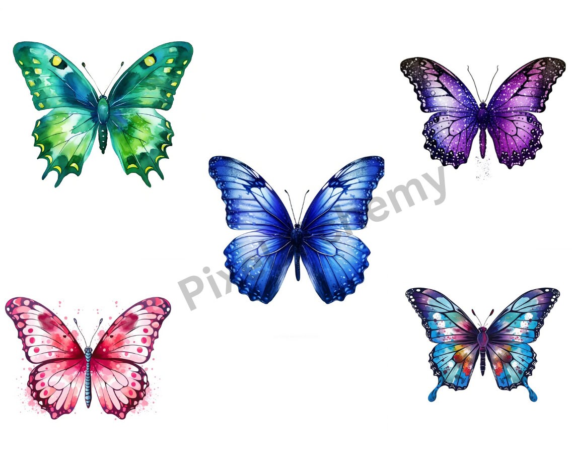 Set of 100 Best Colorful Butterfly Clipart Bundle Watercolor - Etsy