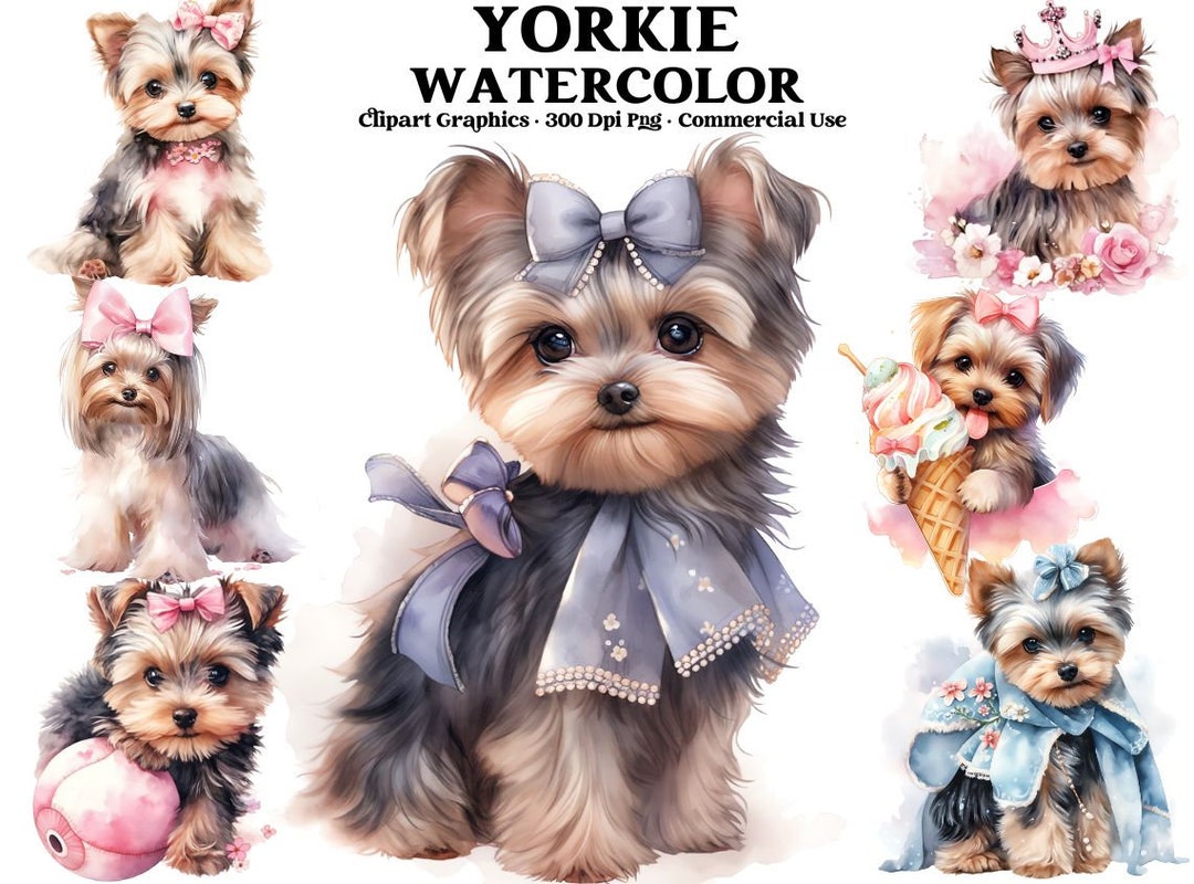 Yorkshire Terrier Watercolor Clipart, Cute Yorkie PNG Illustration Cute ...