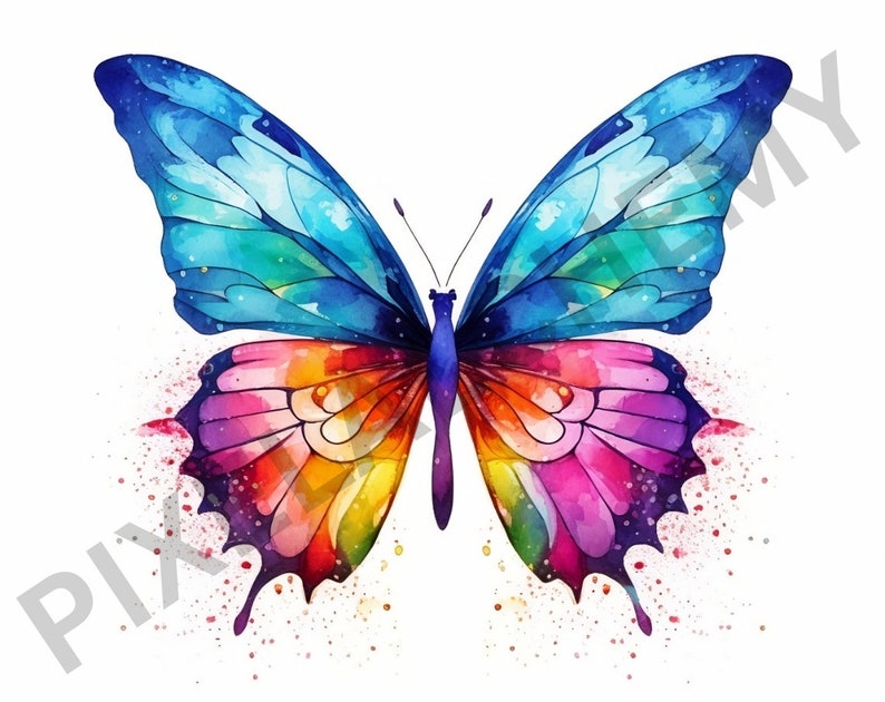 Set of 100 Best Colorful Butterfly Clipart Bundle Watercolor - Etsy