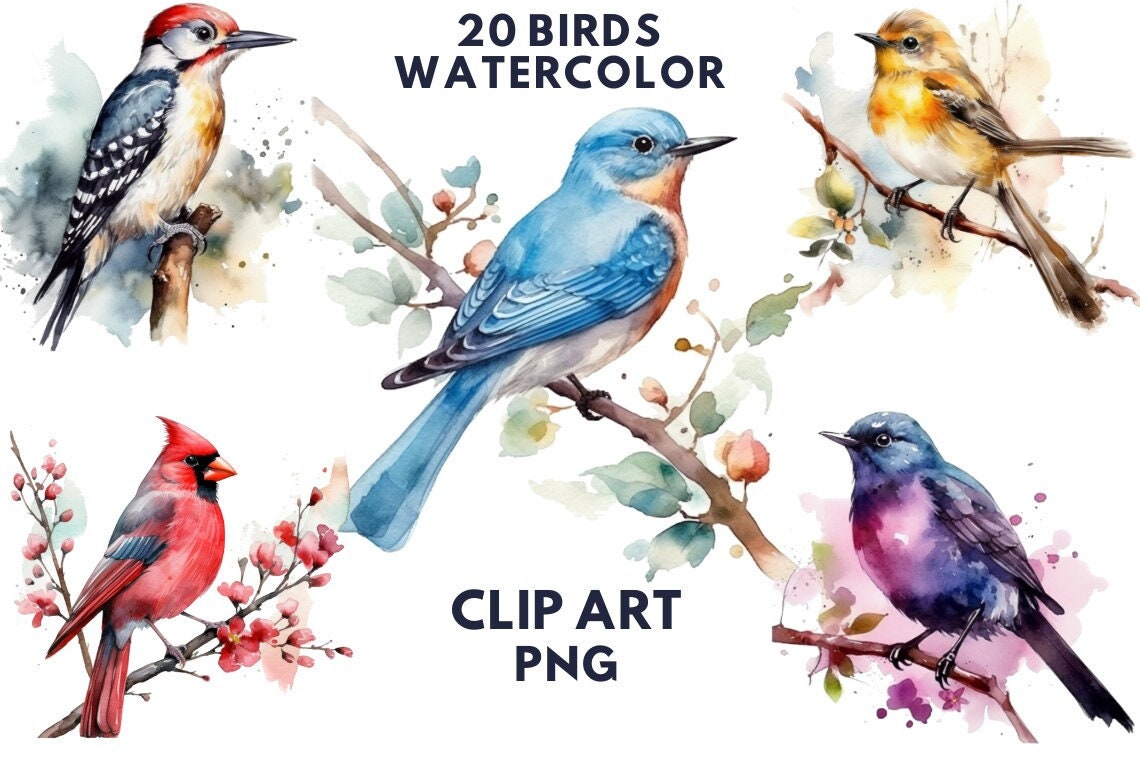 Watercolor Birds Clipart Birds Png Spring Birds Clipart - Etsy