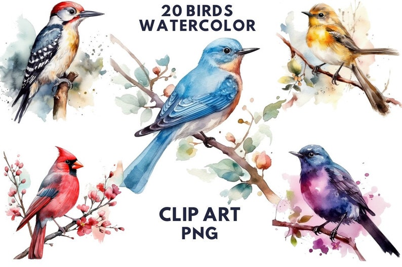 Watercolor Birds Clipart, Birds Png, Spring Birds Clipart, Bird Clipart ...