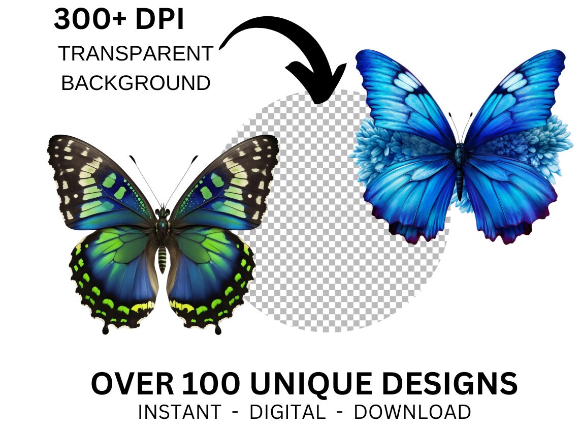 Set of 100 Best Colorful Butterfly Clipart Bundle Watercolor - Etsy