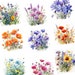 Watercolor Meadow Flowers Clipart, Wildflower Floral PNG, Png Bundle ...