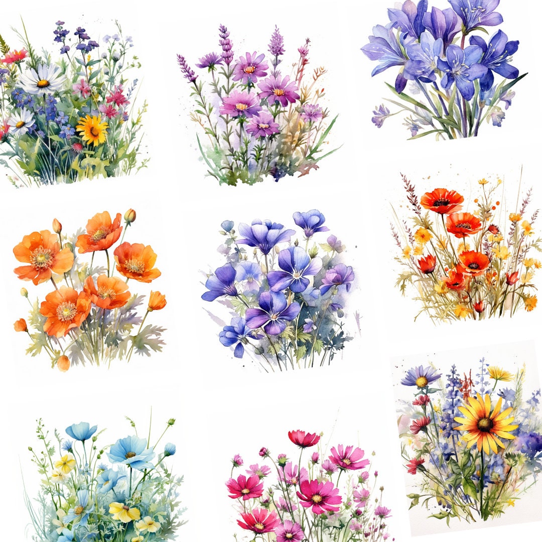 Watercolor Meadow Flowers Clipart Wildflower Floral PNG Png - Etsy