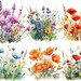 Watercolor Meadow Flowers Clipart, Wildflower Floral PNG, Png Bundle ...