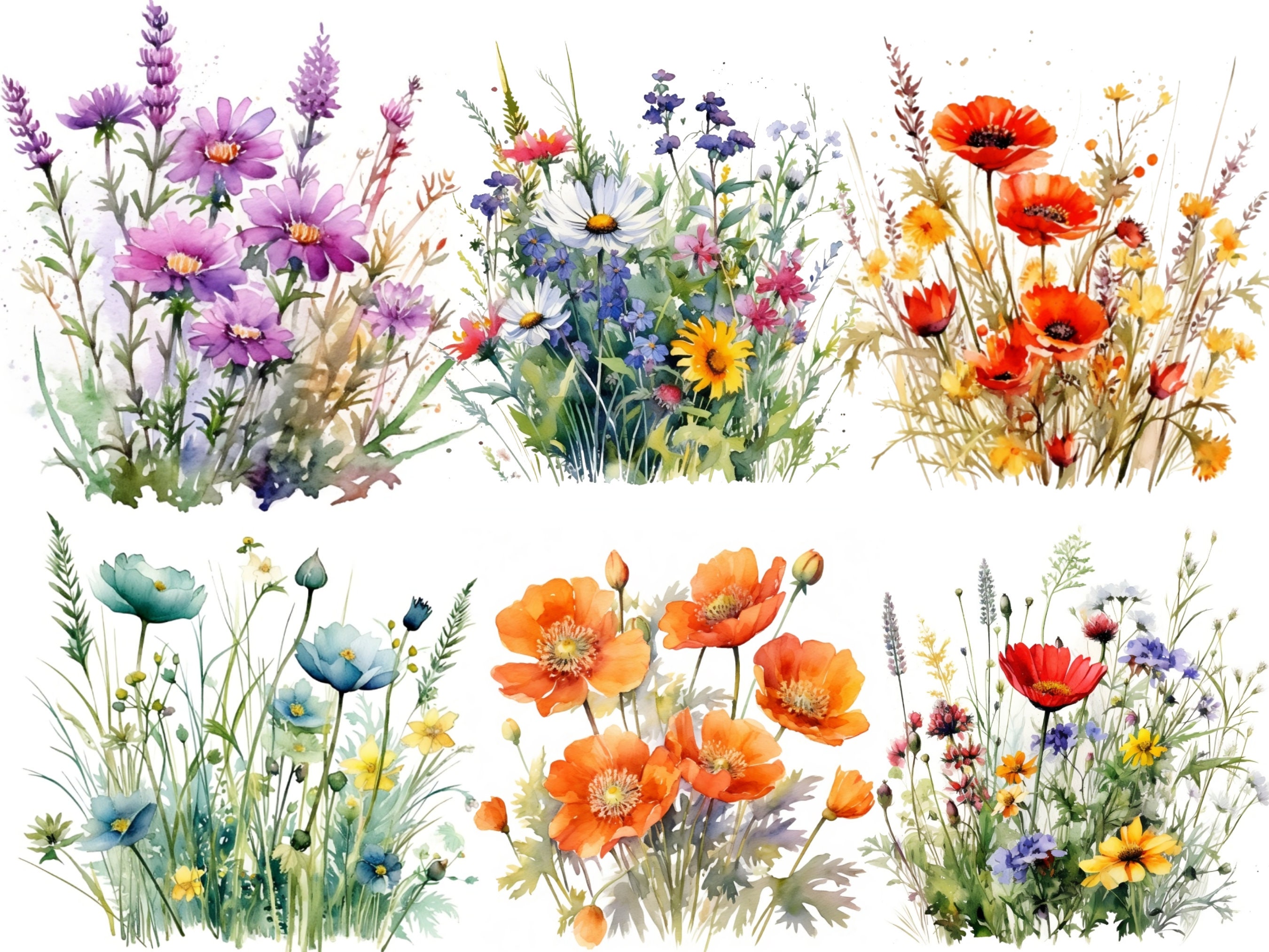 Watercolor Meadow Flowers Clipart Wildflower Floral PNG Png - Etsy