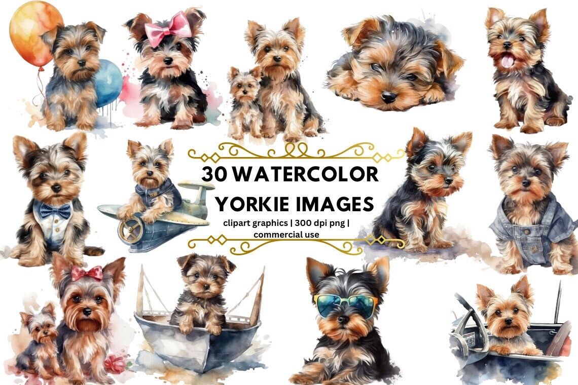 Yorkshire Terrier Watercolor Clipart, Cute Yorkie PNG Illustration Cute ...