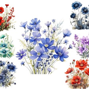 Watercolor Meadow Flowers Clipart, Wildflower Floral PNG, Png Bundle ...