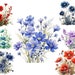 Watercolor Meadow Flowers Clipart, Wildflower Floral PNG, Png Bundle ...