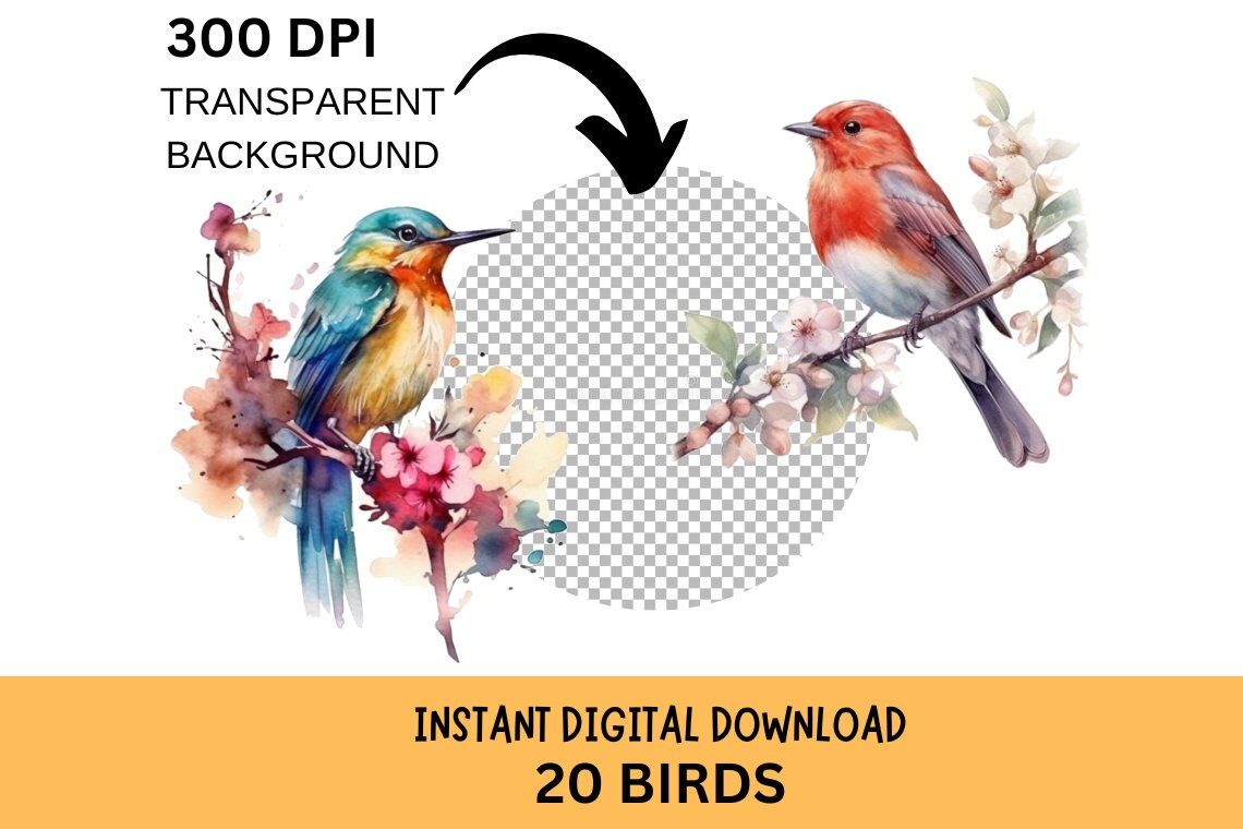 Watercolor Birds Clipart, Birds Png, Spring Birds Clipart, Bird Clipart, Colorful Birds Clipart ...