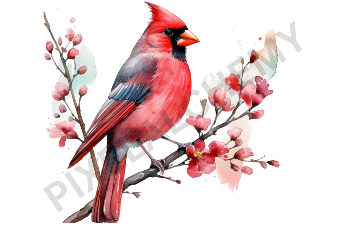 Watercolor Birds Clipart, Birds Png, Spring Birds Clipart, Bird Clipart ...