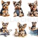 Yorkshire Terrier Watercolor Clipart Cute Yorkie PNG - Etsy