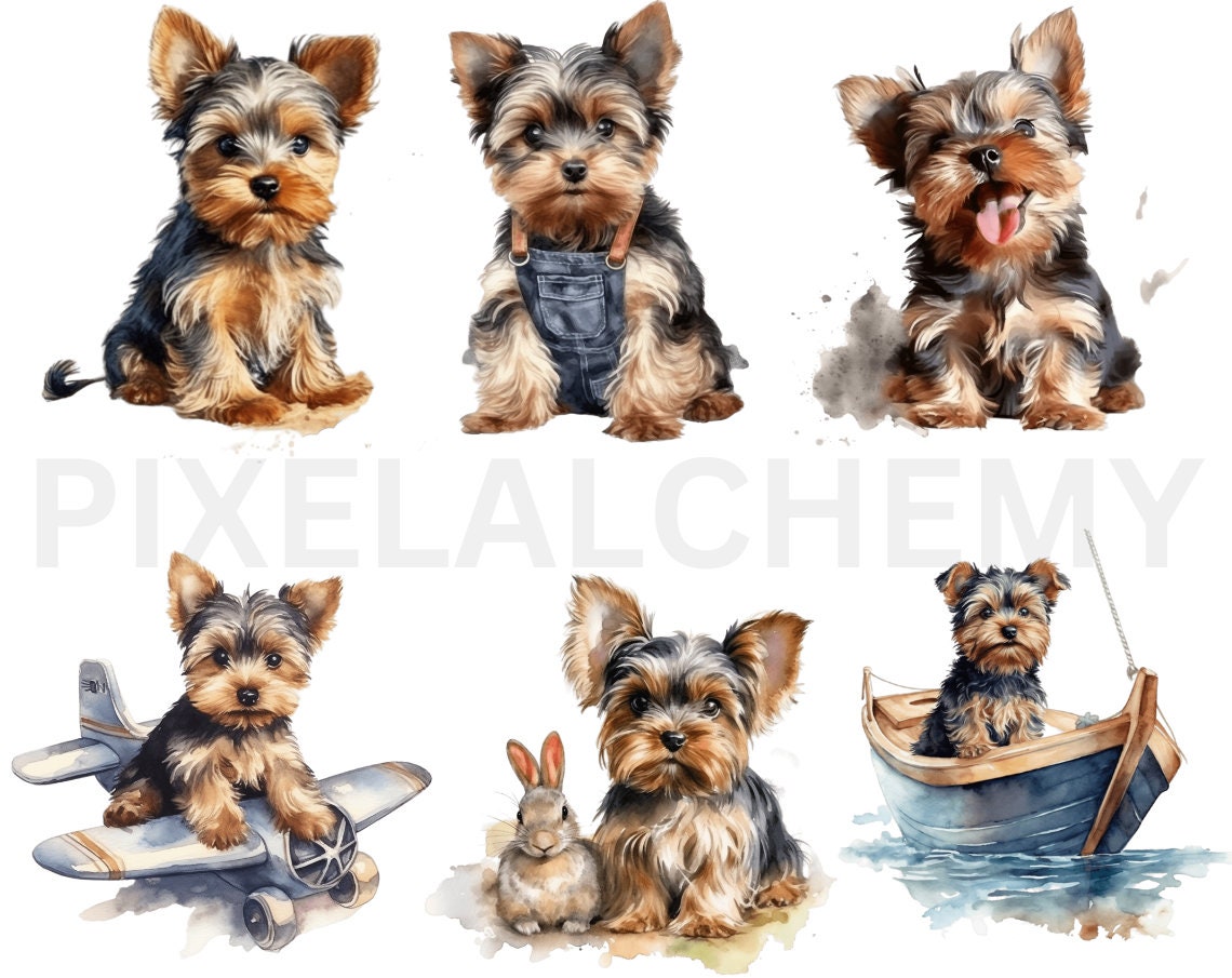 Yorkshire Terrier Watercolor Clipart, Cute Yorkie PNG Illustration Cute ...
