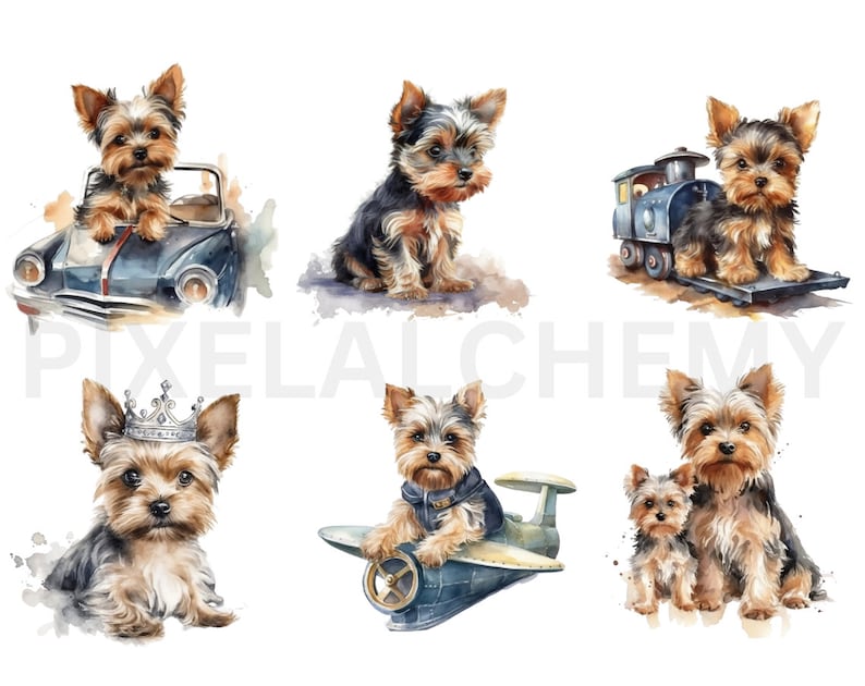 Yorkshire Terrier Watercolor Clipart, Cute Yorkie PNG Illustration Cute Yorkie Printable Wall ...