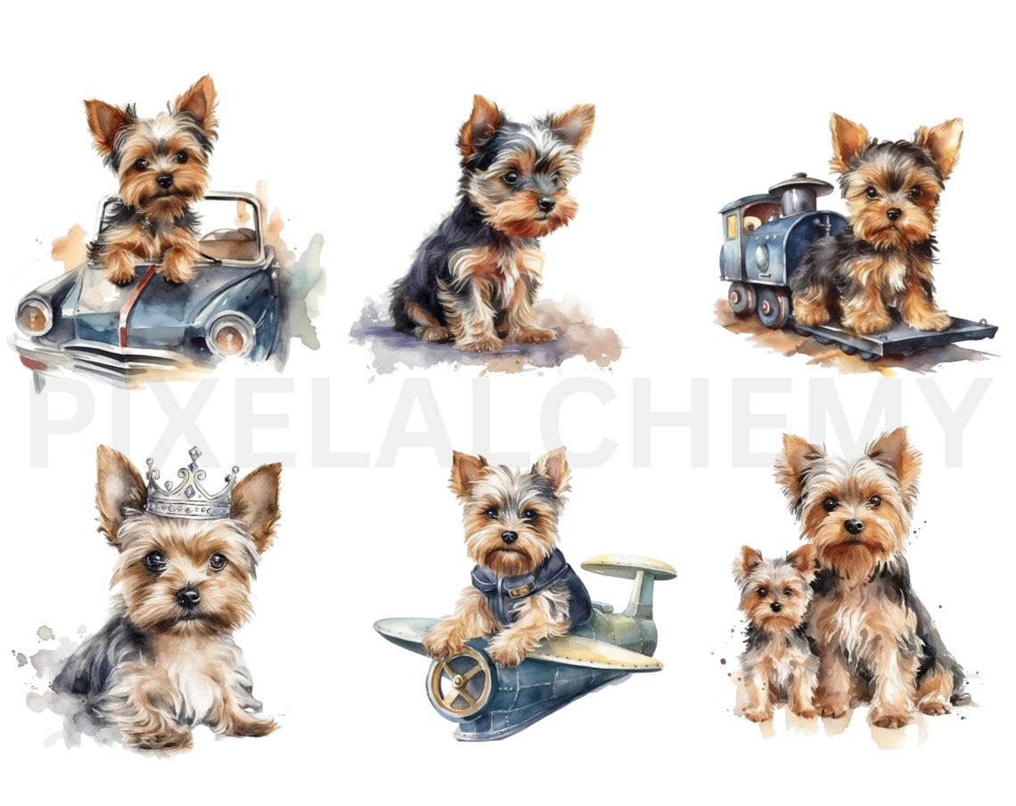Yorkshire Terrier Watercolor Clipart Cute Yorkie PNG - Etsy