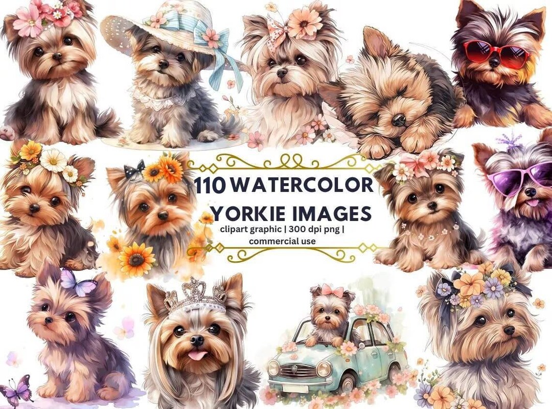 Yorkshire Terrier Watercolor Clipart, Cute Yorkie PNG Illustration Cute ...