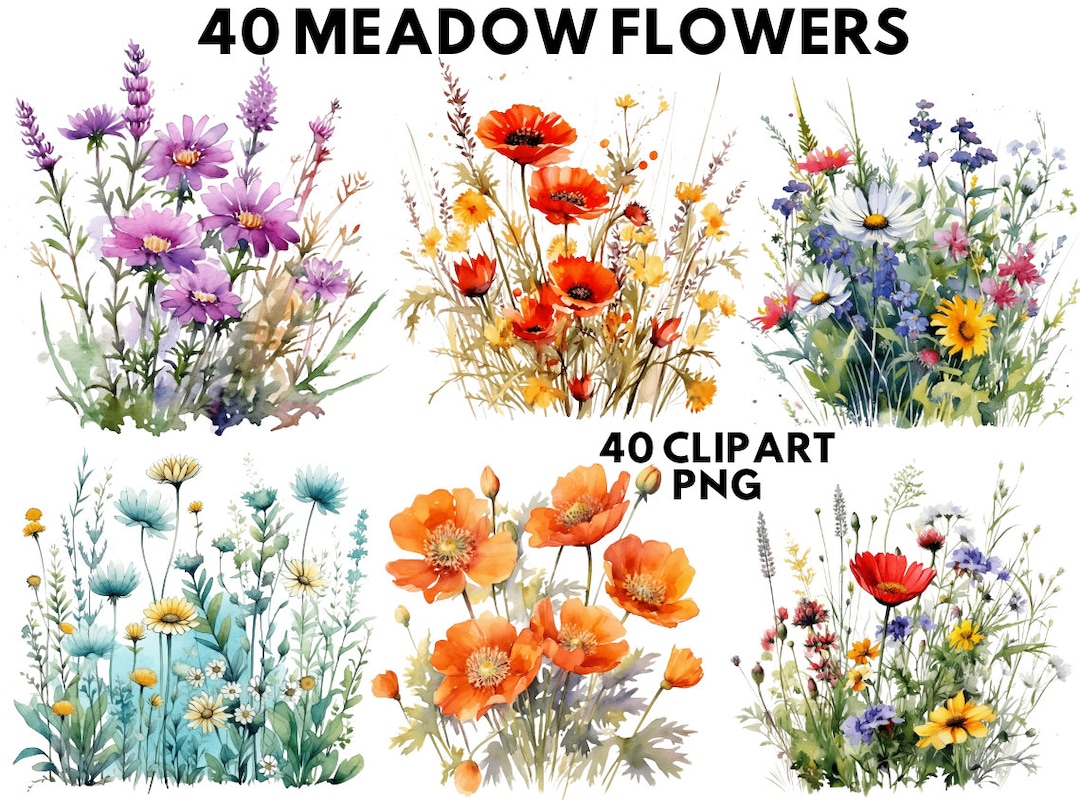 Watercolor Meadow Flowers Clipart, Wildflower Floral PNG, Png Bundle ...