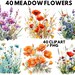 Watercolor Meadow Flowers Clipart, Wildflower Floral PNG, Png Bundle ...