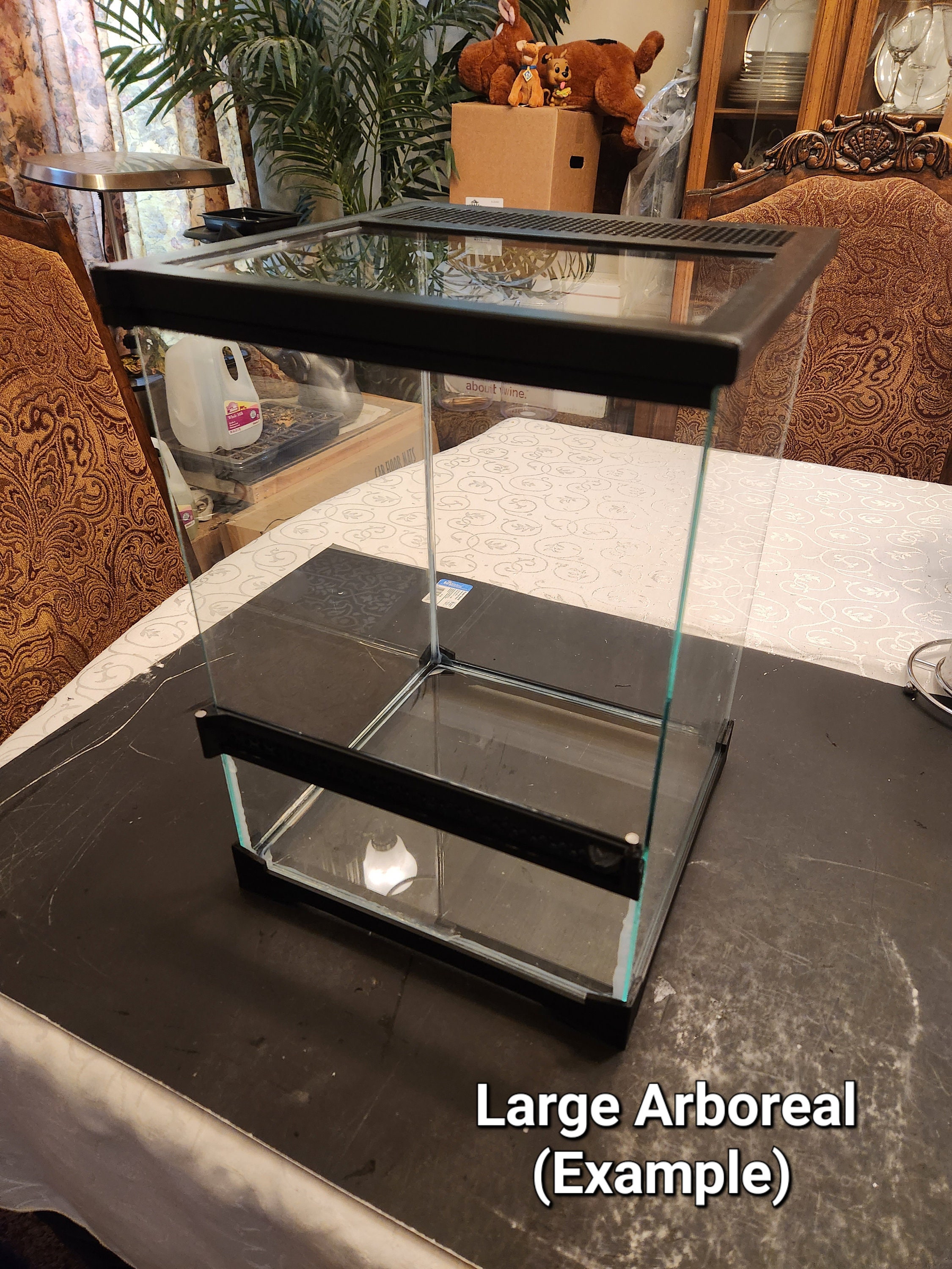 Large Arboreal Terrarium Full DIY Kit - Etsy