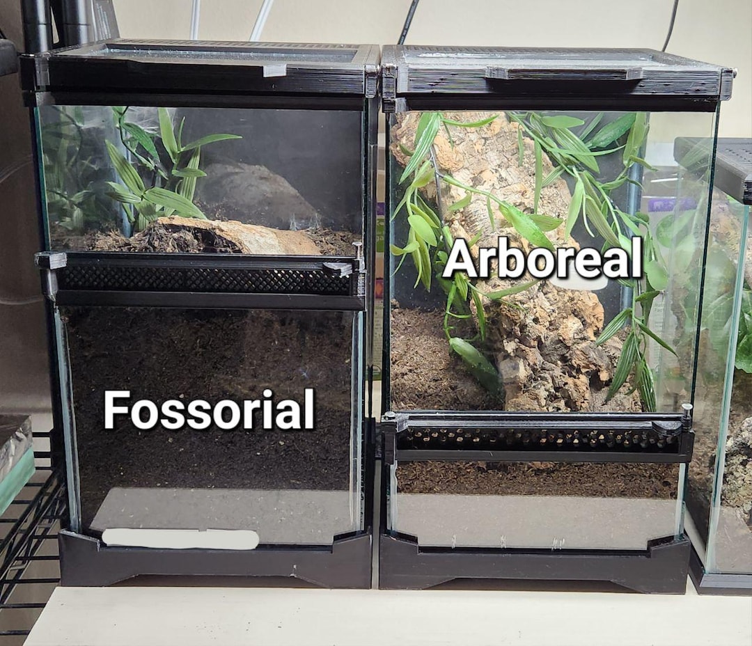 7x7x12" Medium Arboreal Terrarium - Assembled - Etsy