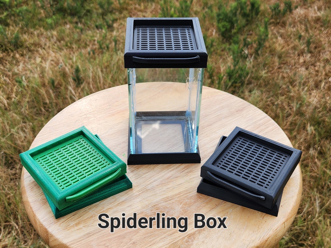 3x3x5" Spiderling Enclosure, Glass - Etsy