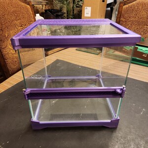 12" Cube Terrarium - DIY Kit - Etsy