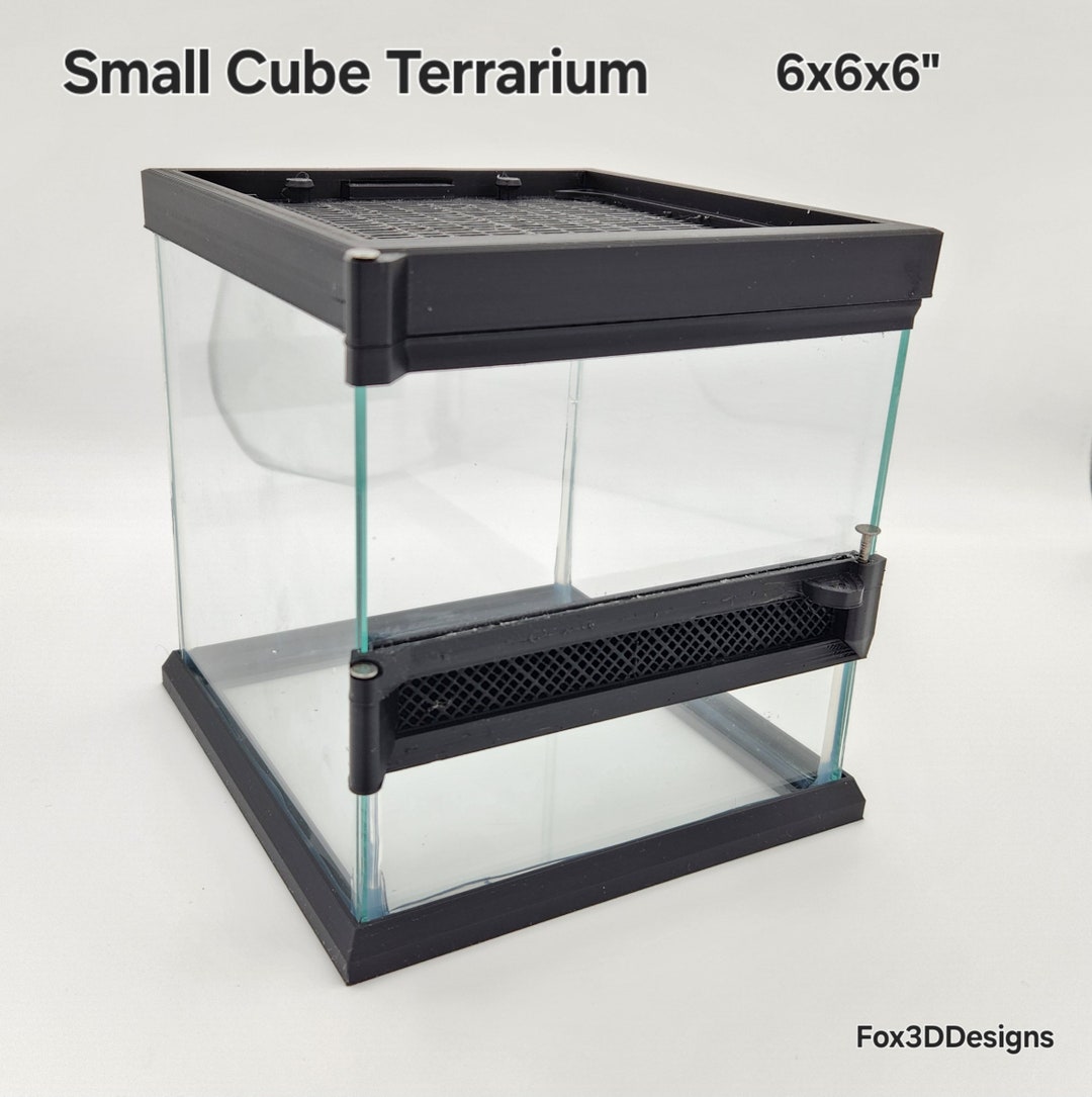 6x6x6" Small Cube Terrarium, Glass - Etsy