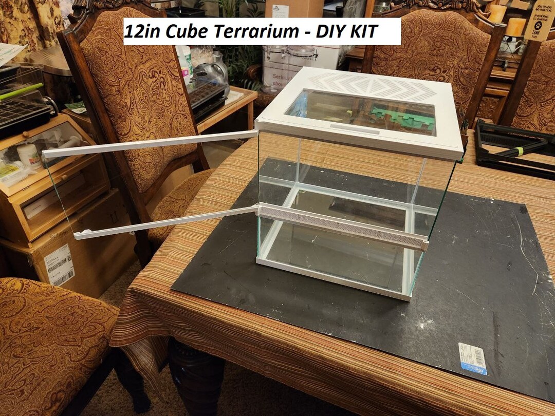 12in Cube Terrarium Full DIY Kit - Etsy