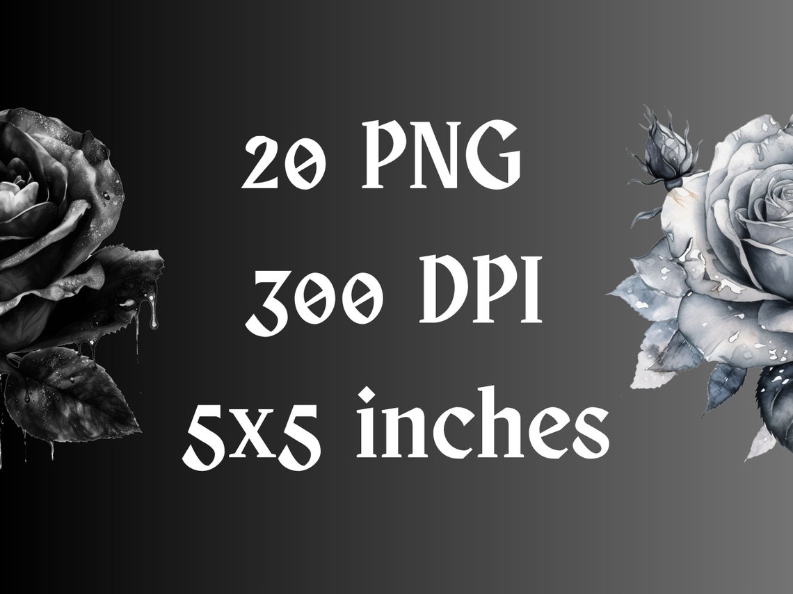 Full Black Silver Roses Watercolor Clipart Floral Clip Art - Etsy