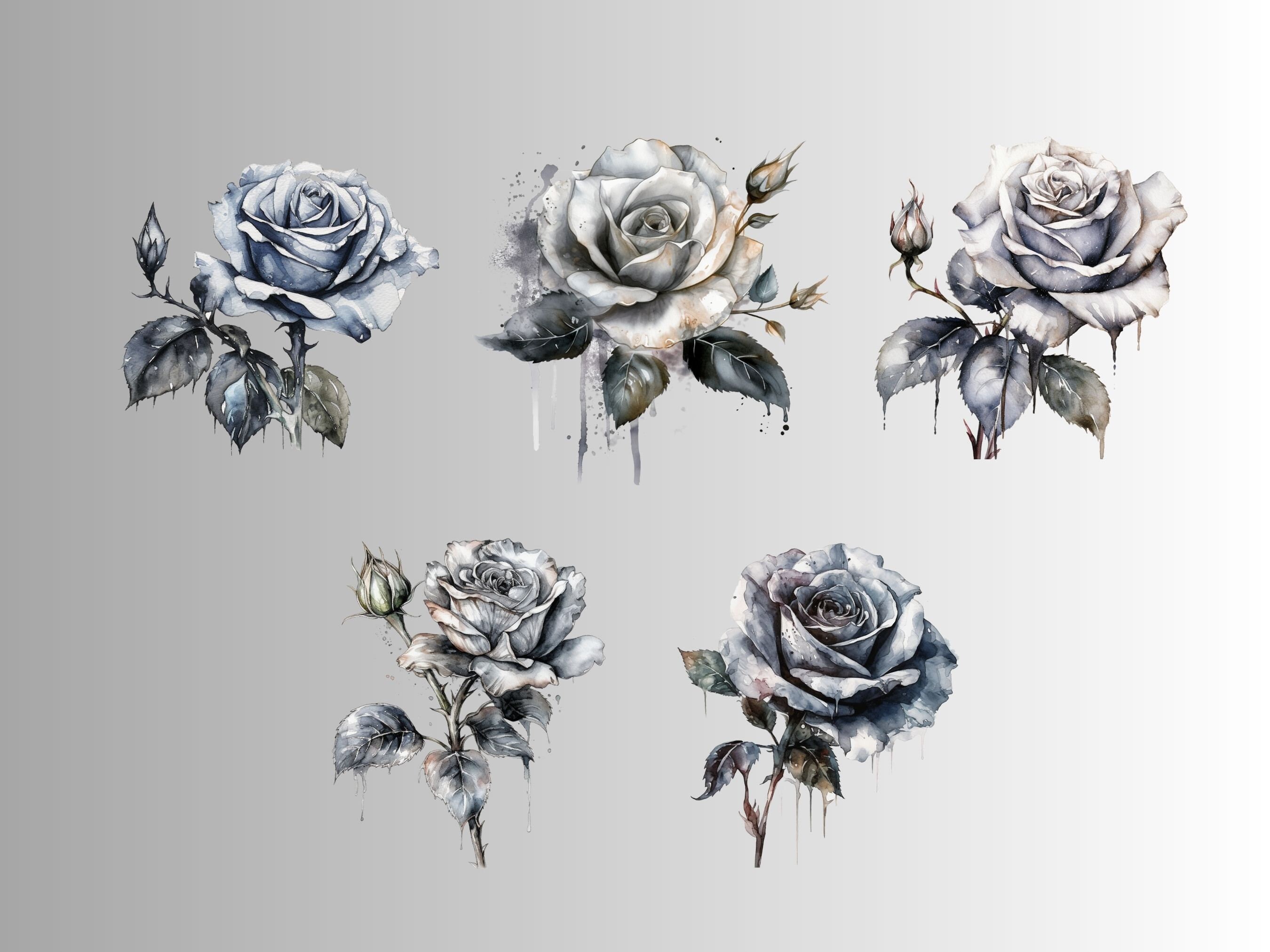 Full Black Silver Roses Watercolor Clipart Floral Clip Art - Etsy