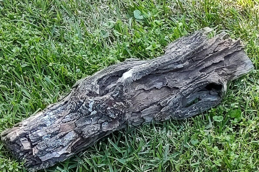 Rustic Hollow Hardwood Fence Post - Etsy