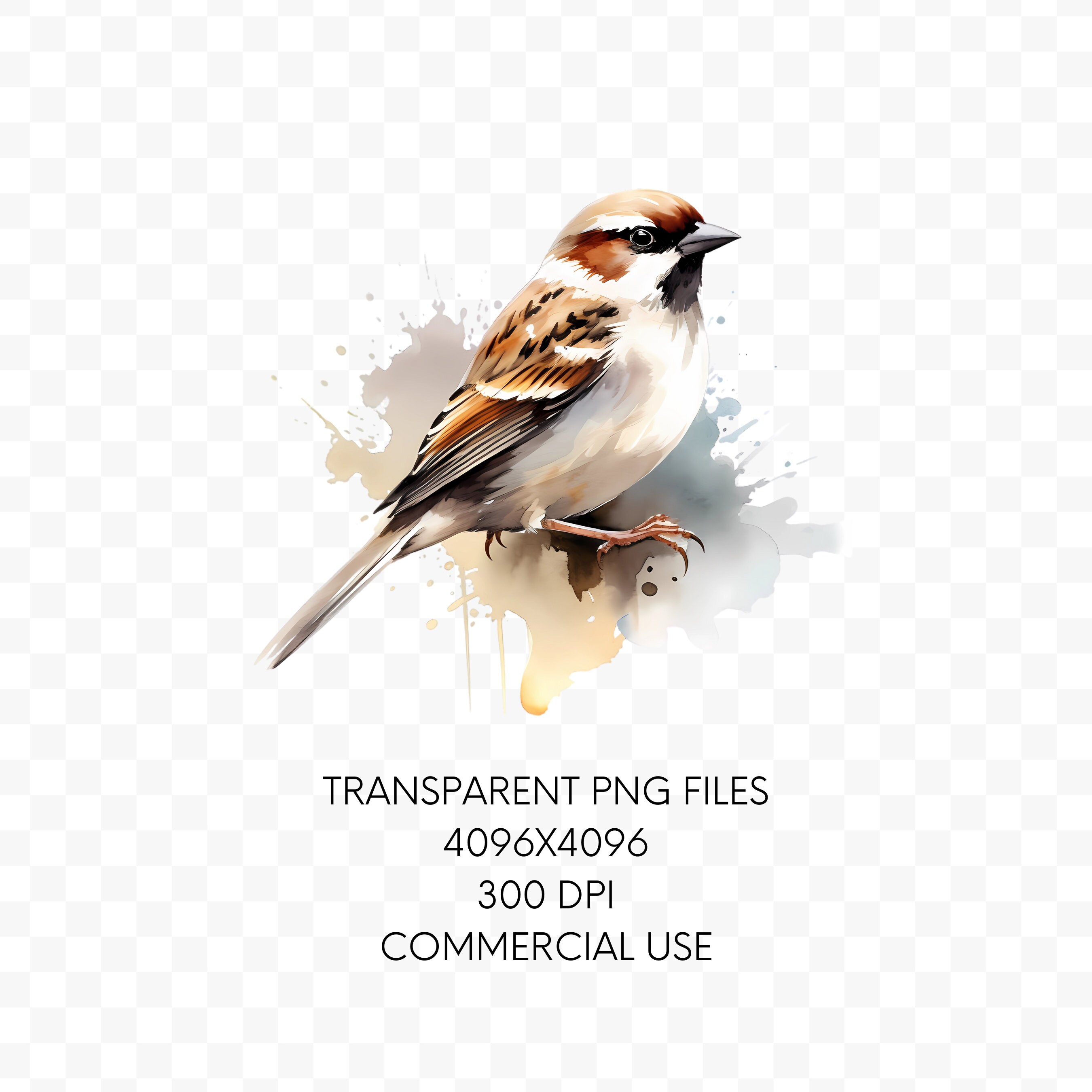 Sparrow Watercolor Clipart, Sparrows PNG Bundle, Watercolor Sparrow Digital Images, Sparrow PNG ...