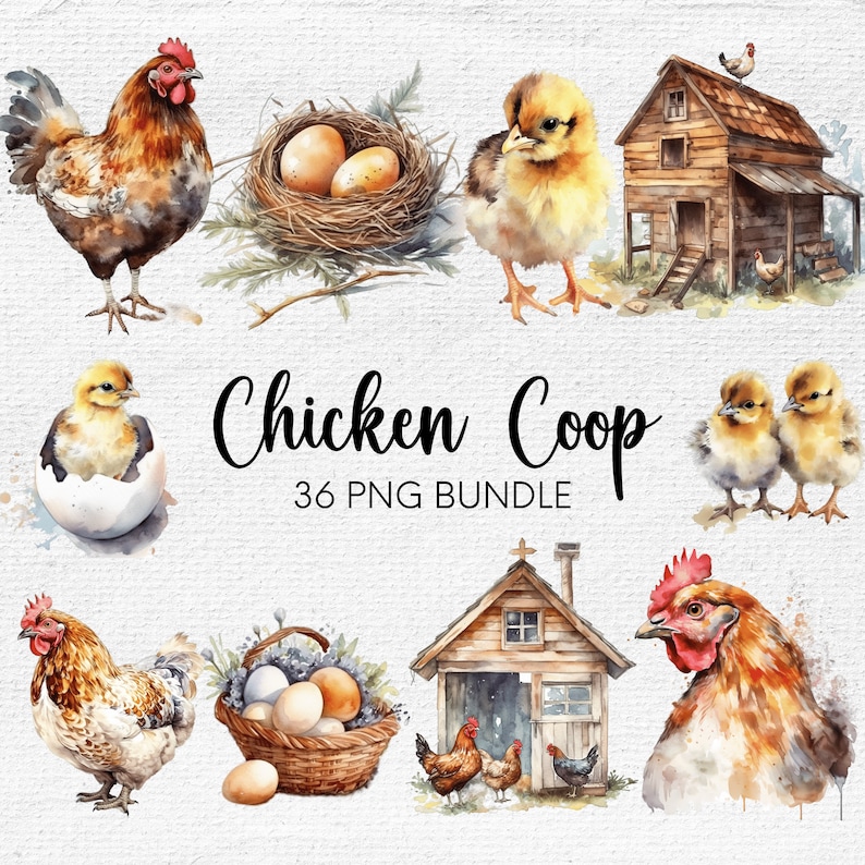 Watercolor Chicken Clipart, Chicken PNG, Chicken and Chicks Clipart ...