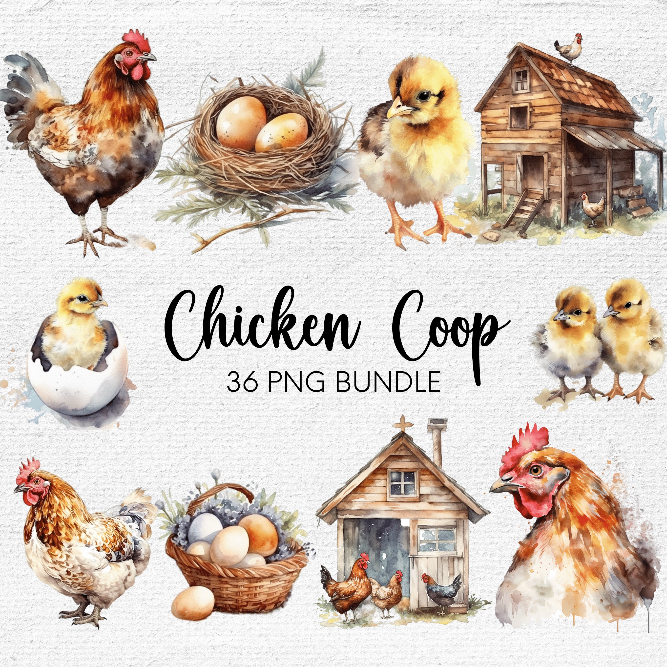 Watercolor Chicken Clipart Chicken PNG Chicken and Chicks - Etsy