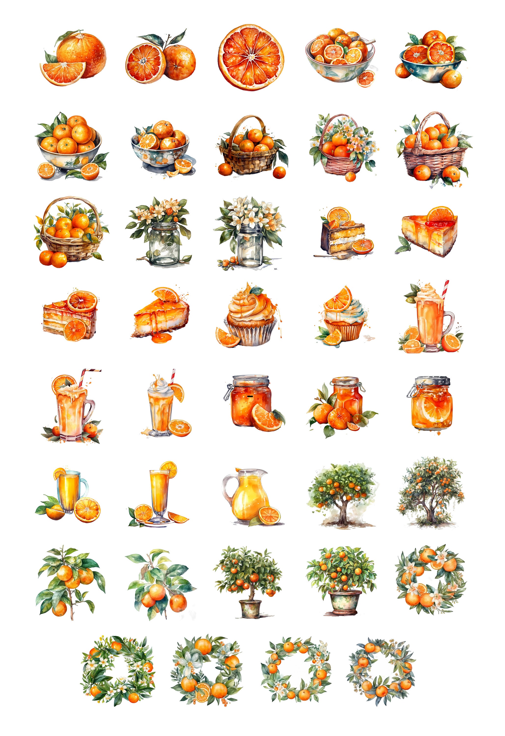 Watercolor Orange Clipart, Citrus Clipart Bundle, Orange PNG, Fruit ...