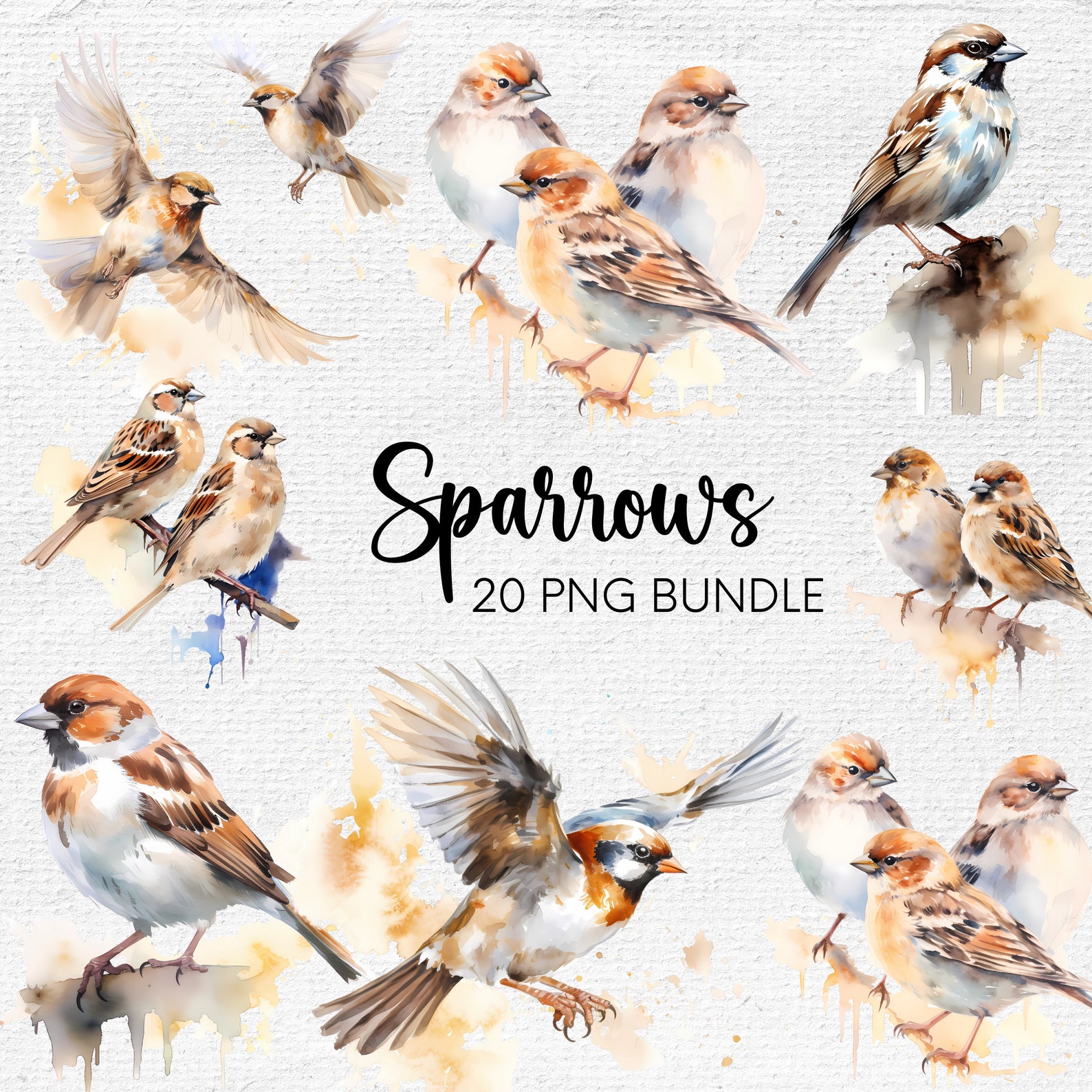 Sparrow Watercolor Clipart, Sparrows PNG Bundle, Watercolor Sparrow ...