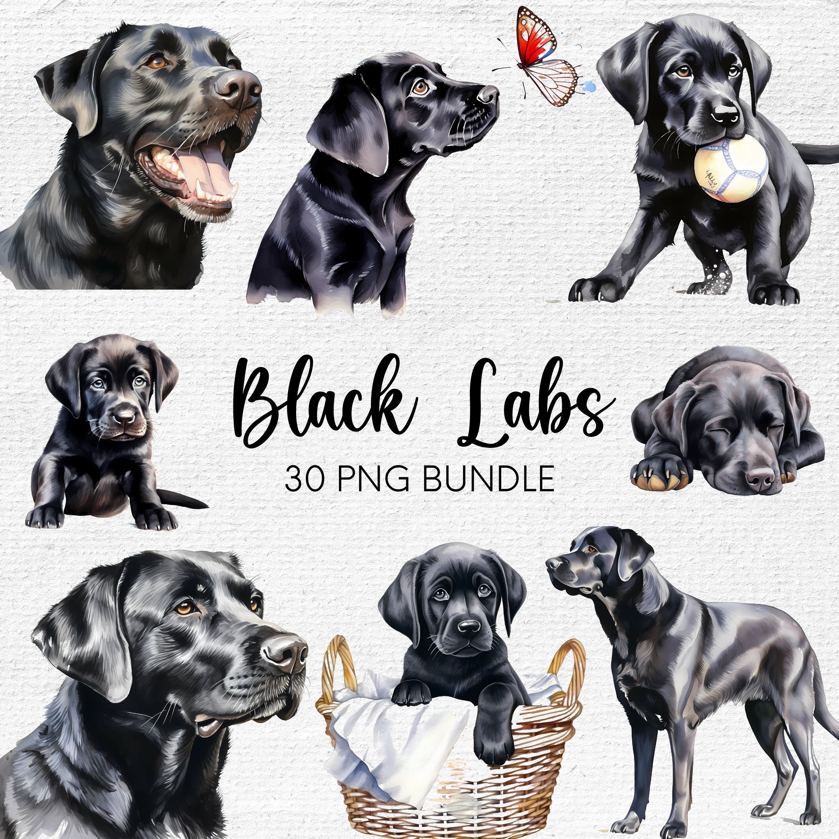 Black Labrador Clipart, Black Lab PNG, Labrador Retriever Clipart ...