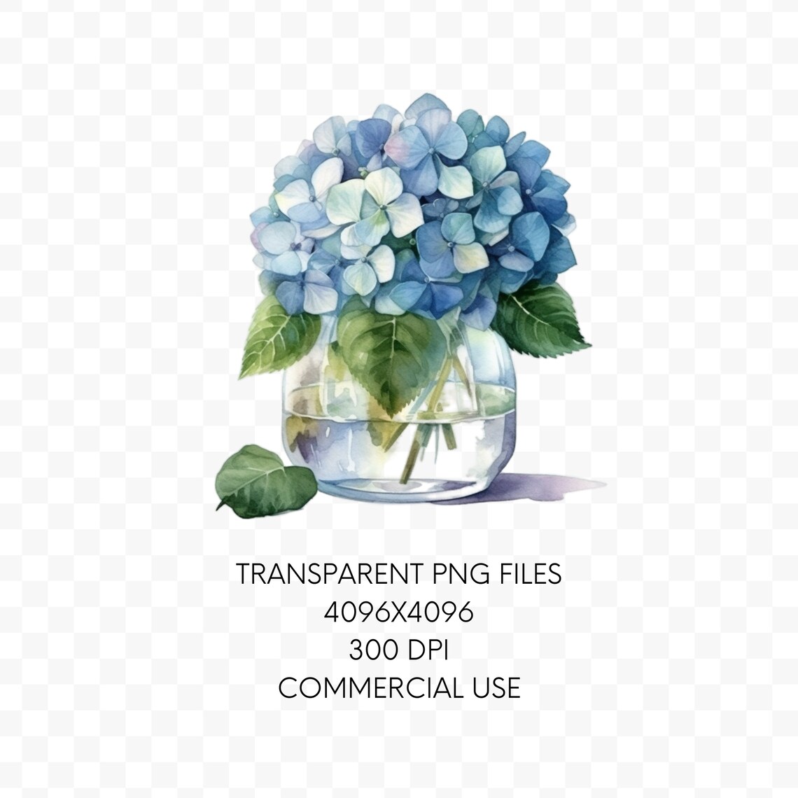 Watercolor Hydrangea Clipart, Clipart PNG Bundle, Blue Flower Clipart ...