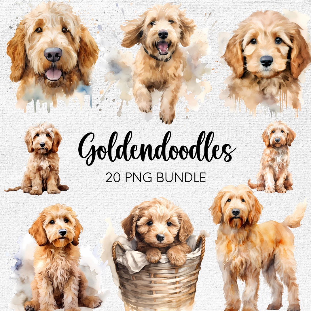Goldendoodle Clipart, Golden Doodle PNG, Watercolor Clipart, Cute ...