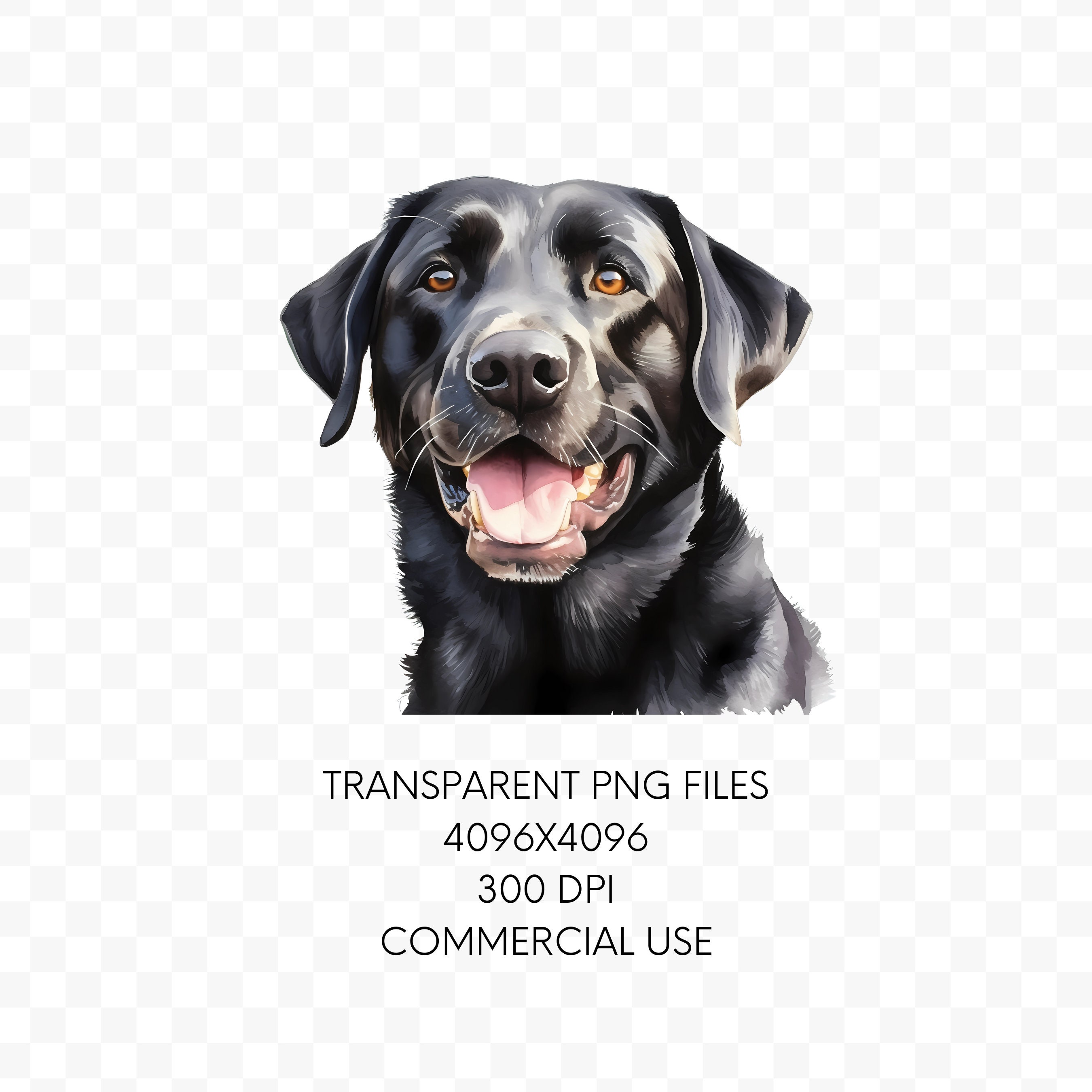 Black Labrador Clipart, Black Lab PNG, Labrador Retriever Clipart ...