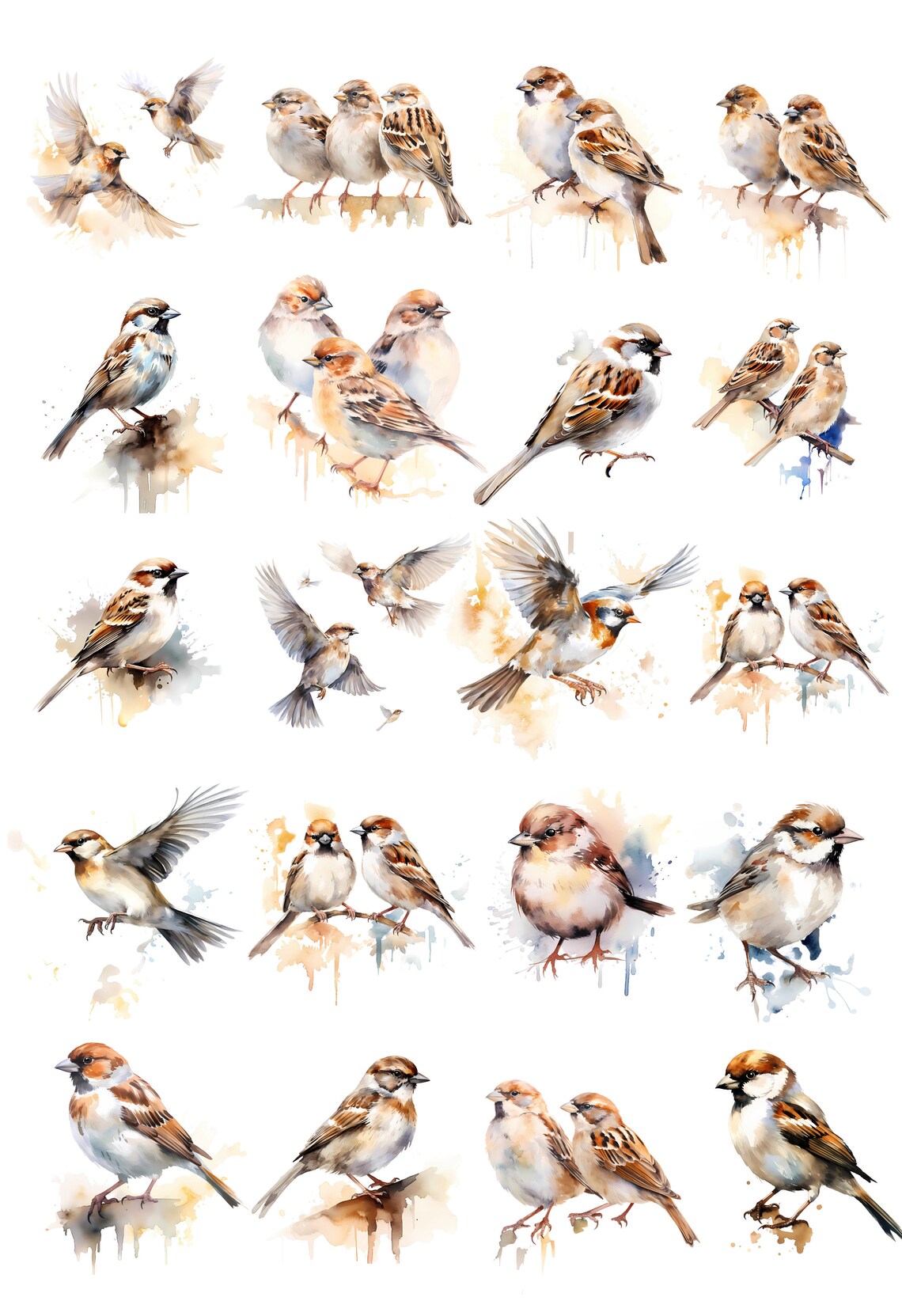Sparrow Watercolor Clipart, Sparrows PNG Bundle, Watercolor Sparrow ...