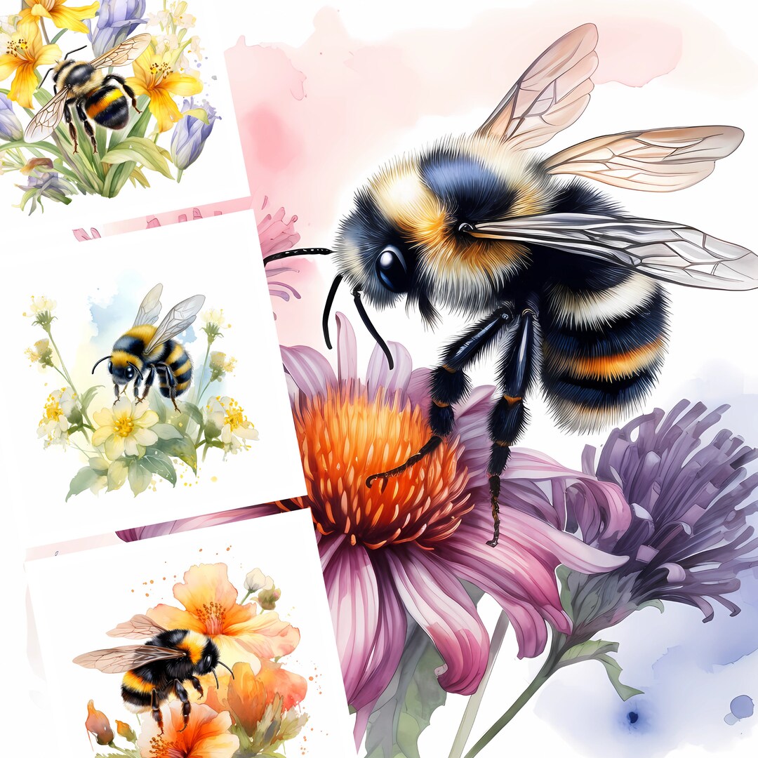 Watercolor Bumblebee Clipart, Honey Bumblebee, Bee PNG, Bumble Bee PNG ...