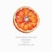 Watercolor Orange Clipart, Citrus Clipart Bundle, Orange PNG, Fruit ...