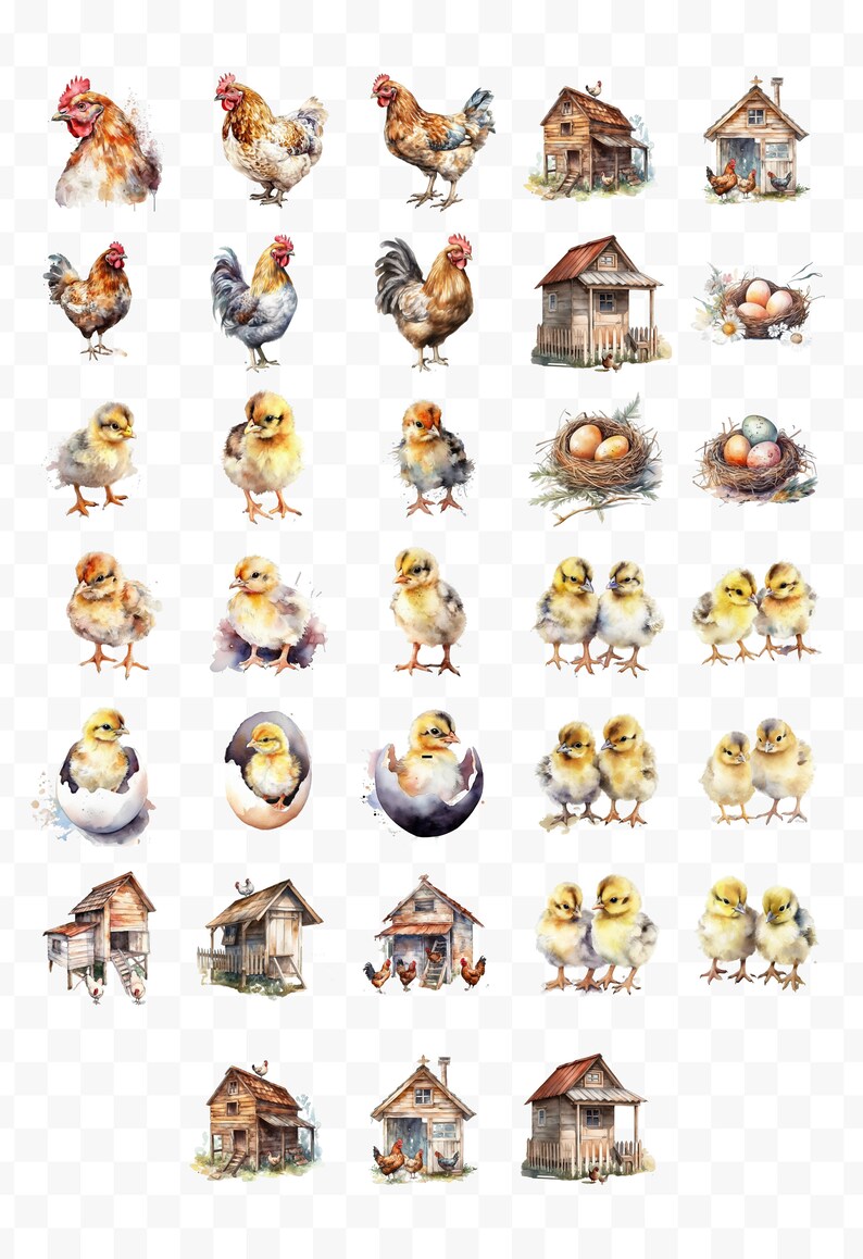 Watercolor Chicken Clipart Chicken PNG Chicken and Chicks - Etsy