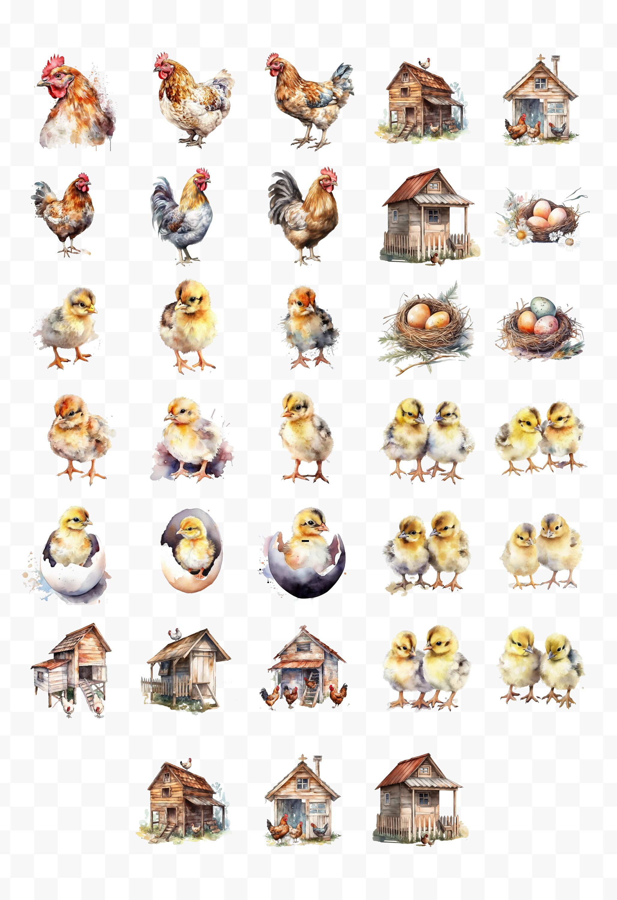 Watercolor Chicken Clipart, Chicken PNG, Chicken and Chicks Clipart ...