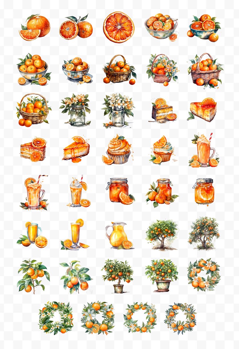 Watercolor Orange Clipart, Citrus Clipart Bundle, Orange PNG, Fruit ...