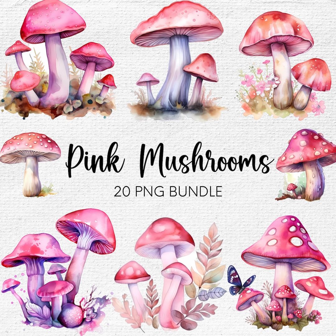 Pink Mushrooms PNG, Mushroom PNG, Mushrooms Bundle, Watercolor Clipart ...