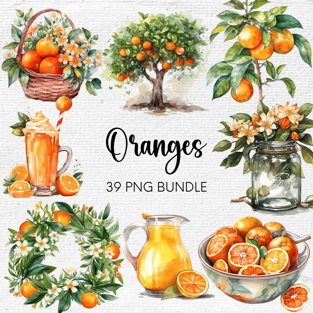 Watercolor Orange Clipart, Citrus Clipart Bundle, Orange PNG, Fruit ...